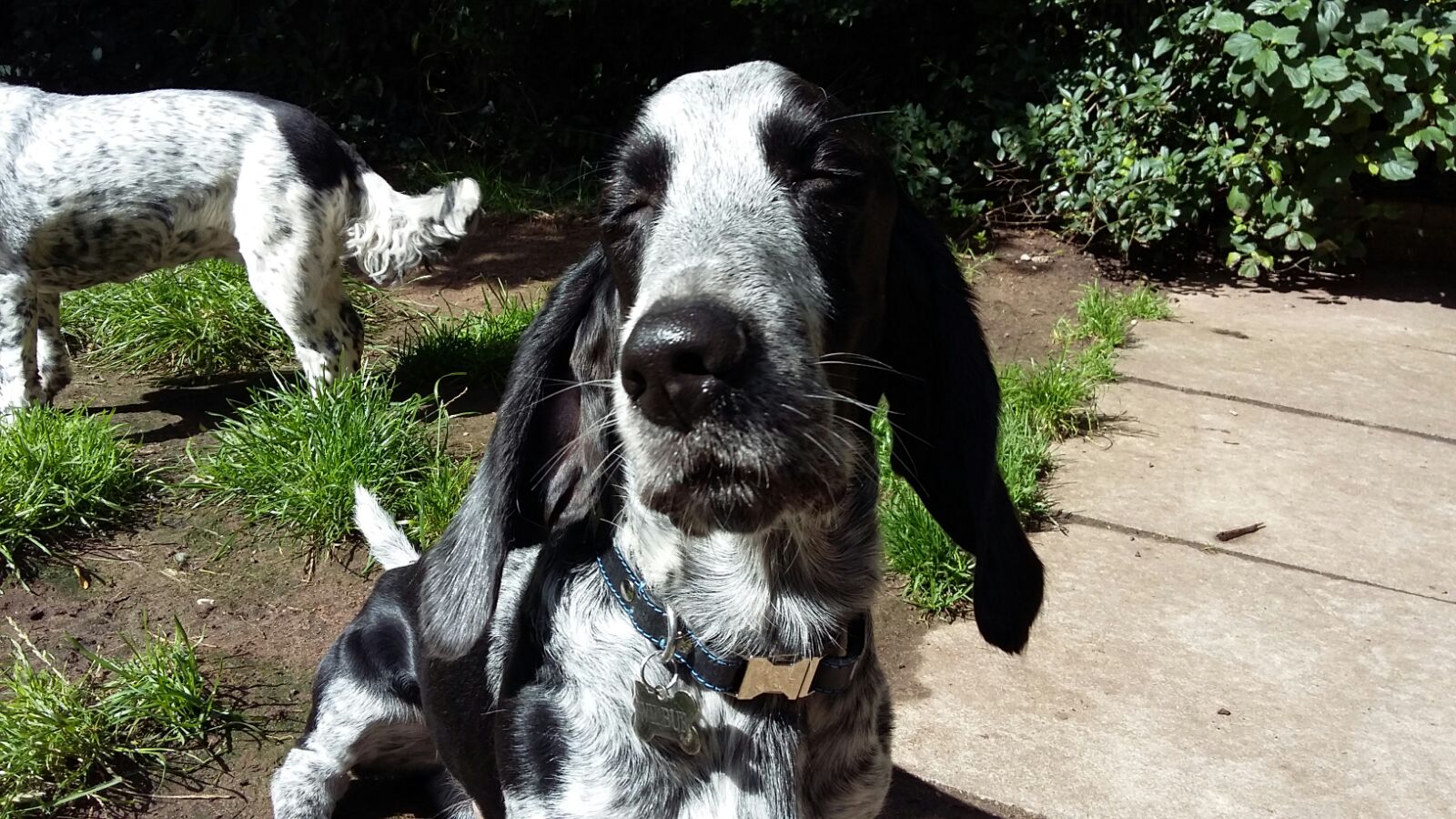 Gallery - Phoenix Charm Ltd