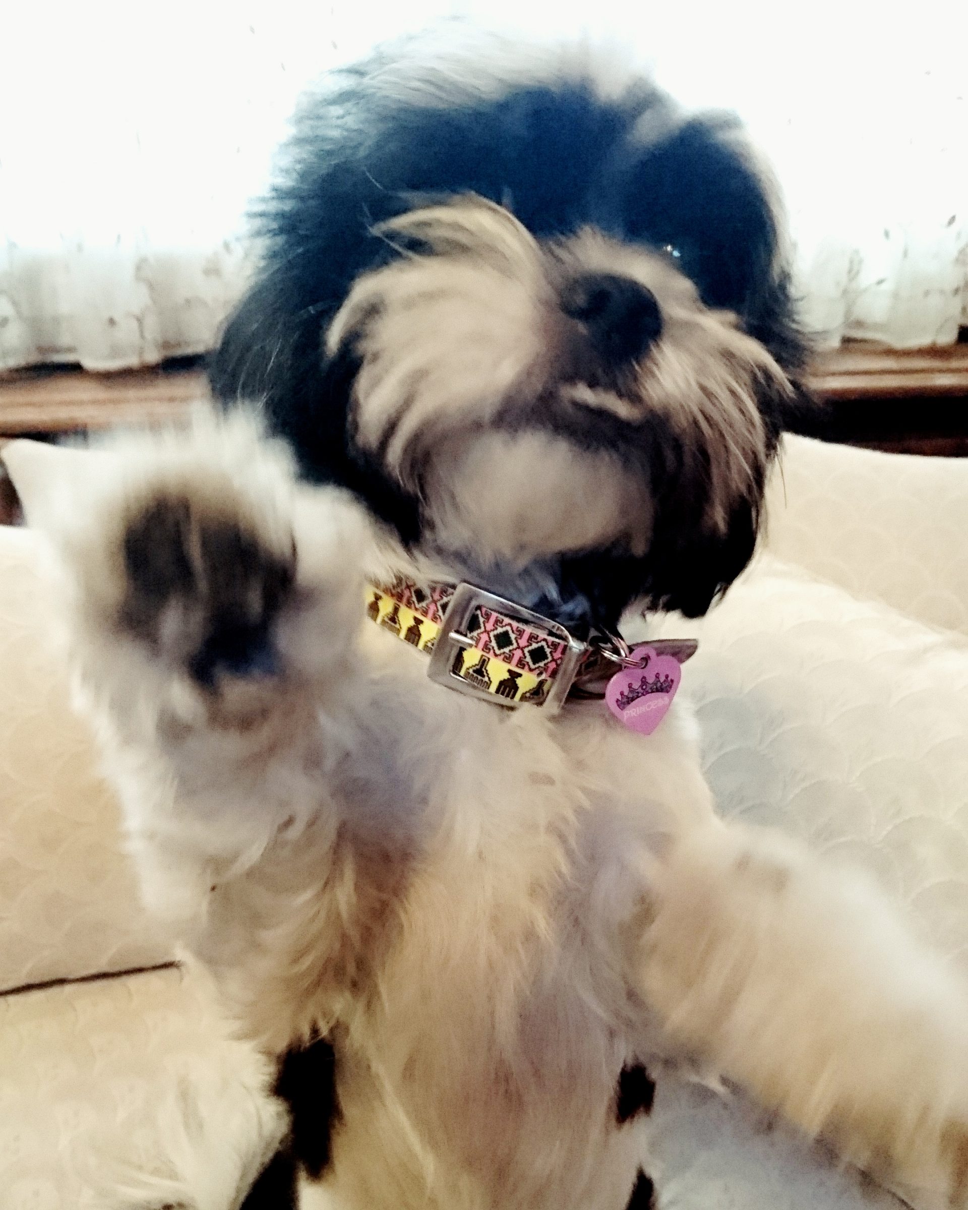 Gallery - Phoenix Charm Ltd