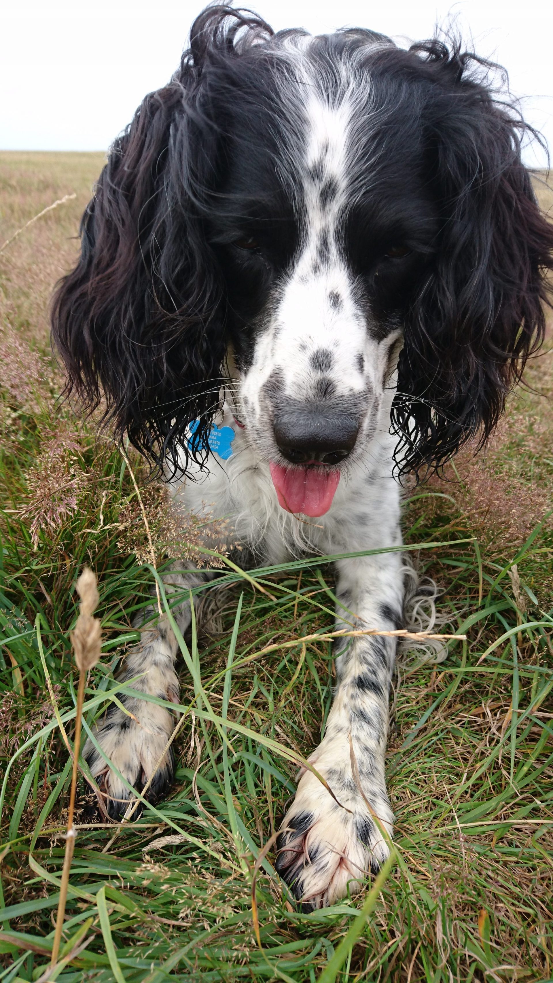 Gallery - Phoenix Charm Ltd